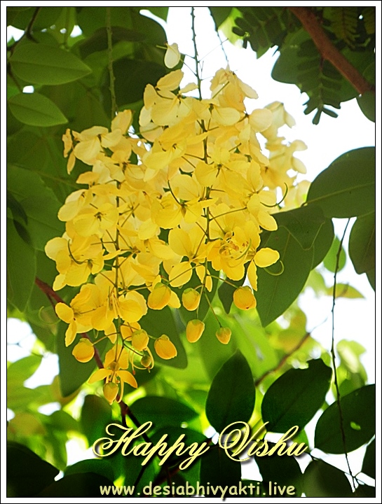 Vishu Wishes and 'Konde' Story - DeSi Abhivyakti